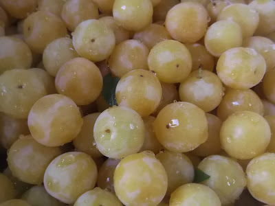 Hellena ...din bucataria mea...: Gem de corcoduse galbene