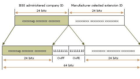 EUI 64 ~ INGENIERIA DE REDES