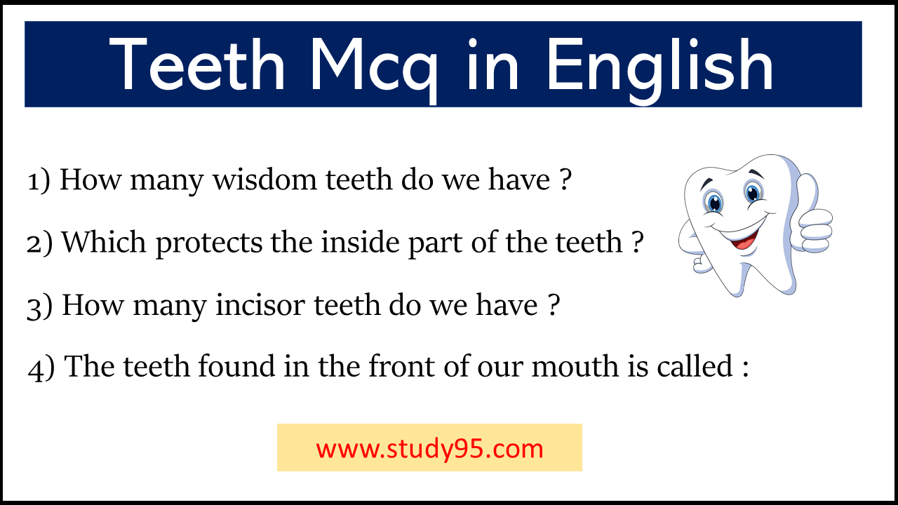 Multiple Choice Questions On Human Teeth multiple-choice-questions-on-human-teeth