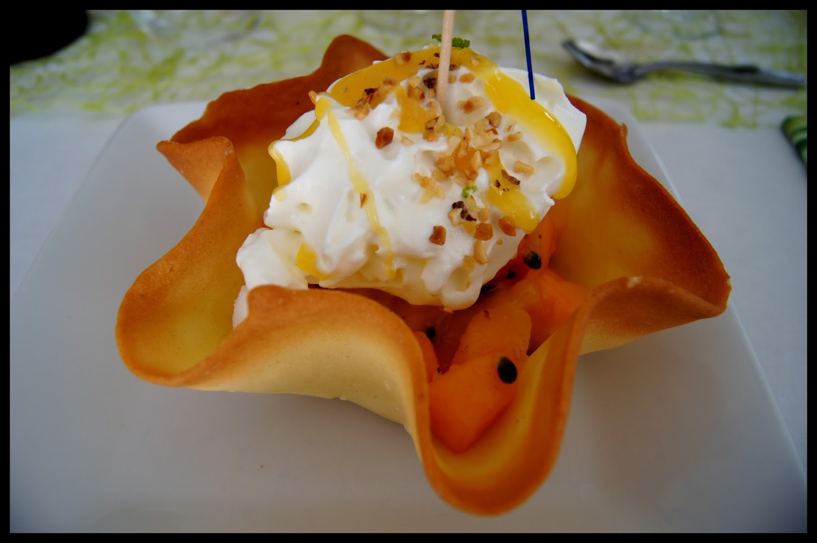 Tulipe d'été