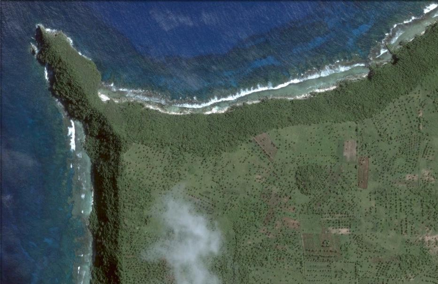 Tongan Tropical Moist Forests: Forest Cover