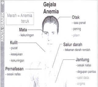 BLOG AYIE..: apa itu anemia??