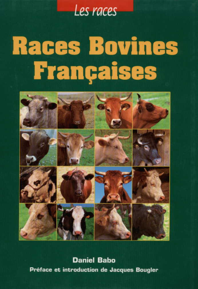 Races Bovin Françaises - VetBookDZ