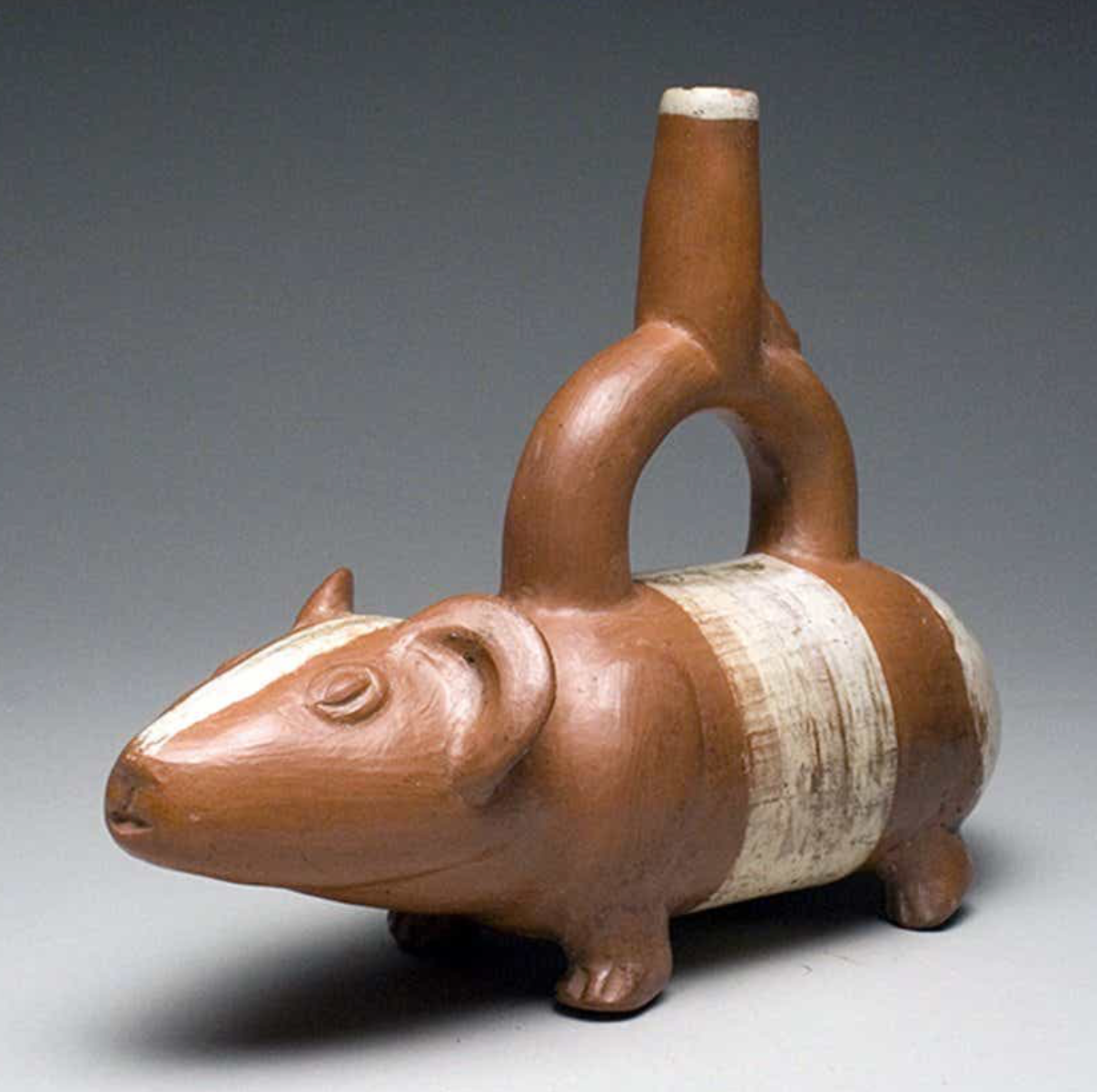 Cuy, the other white meat. Eating Guinea pig in Loja Ecuador