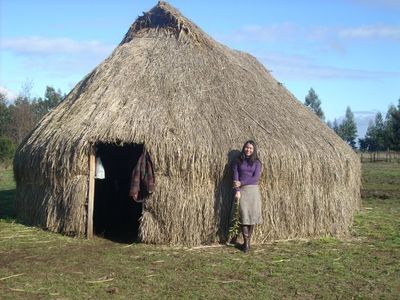 GW Admissions Student Blog: Temuco, Chile