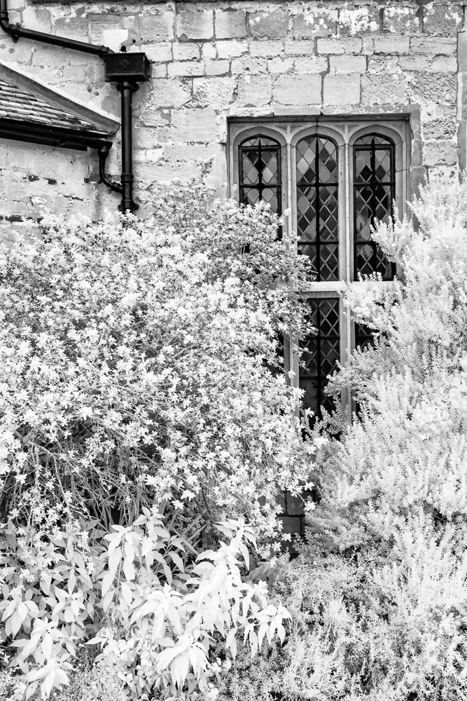 P.J. Horrell Photography