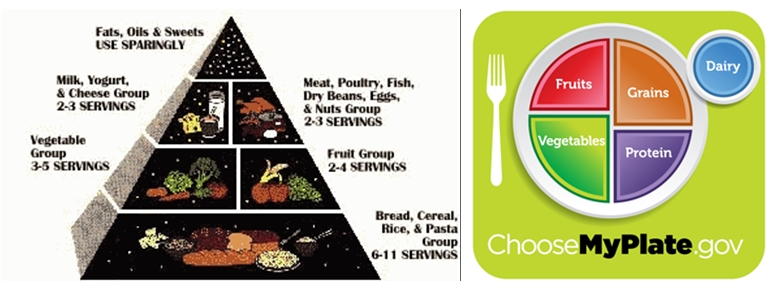 Skinny Without Willpower: FROM PYRAMID TO PLATE: THE NEW USDA FOOD GUIDE