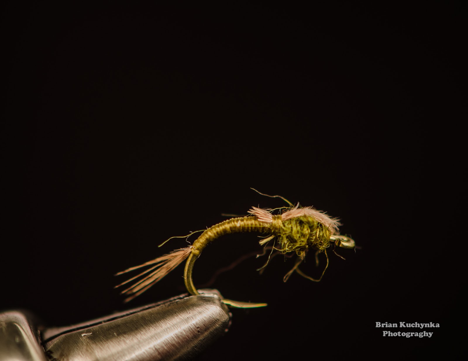 Floatfisher: Fly Patterns of the Day- FF Rainbow Midge / WD 40