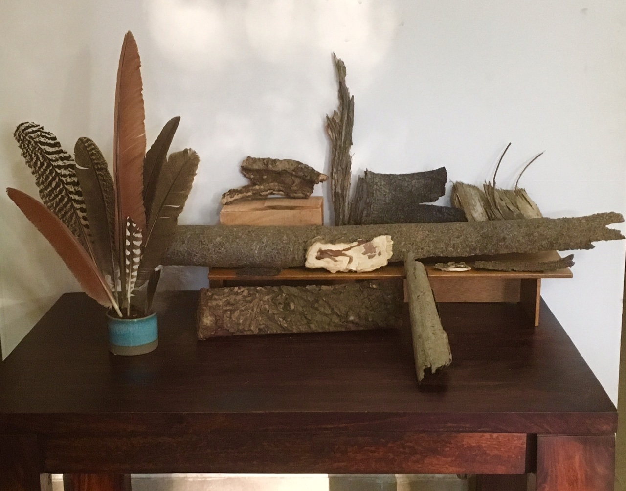 Chloe4Learning: Nature Tables