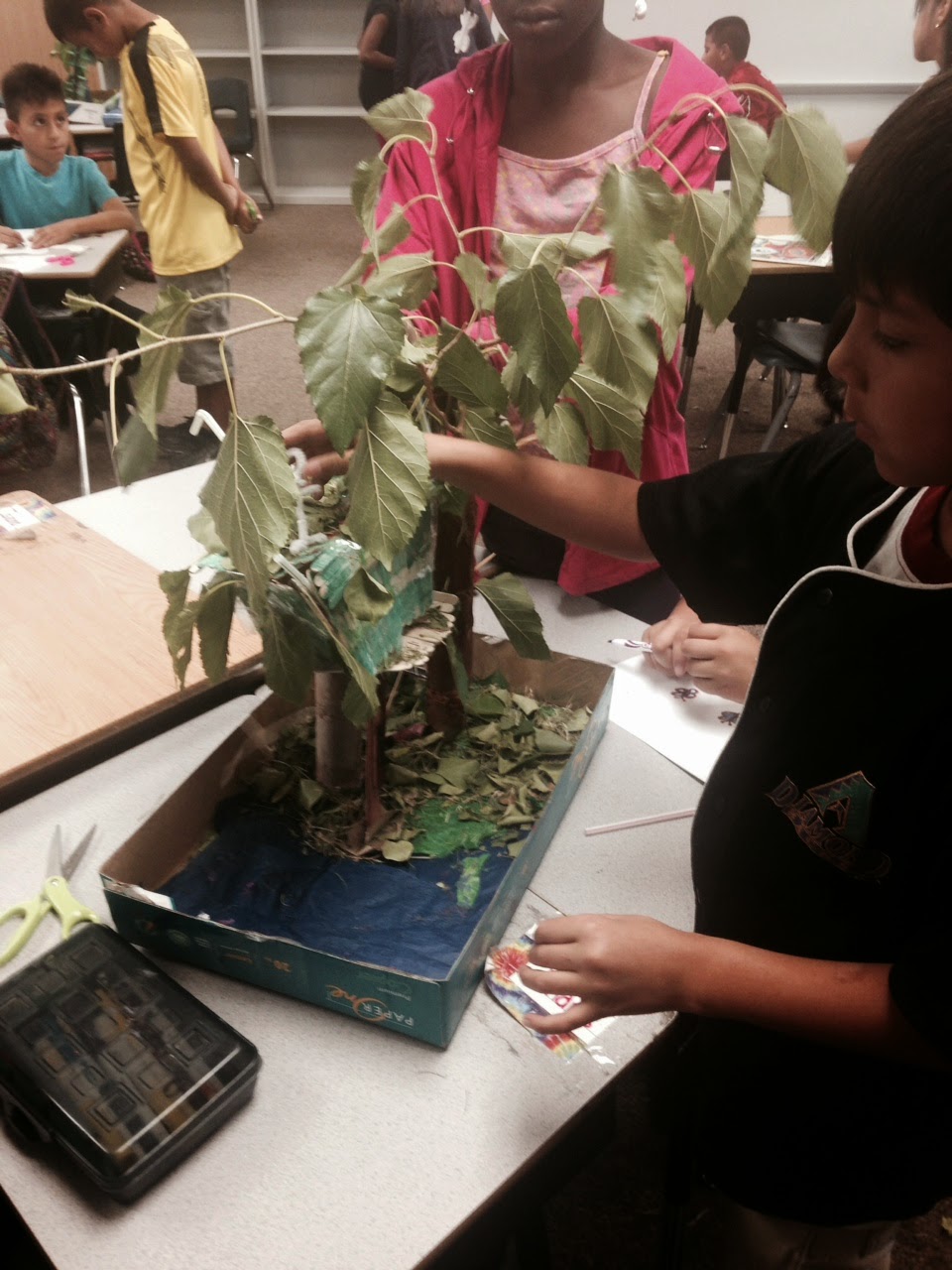 Third Grade with Room Nine: Welcome to the Rainforest