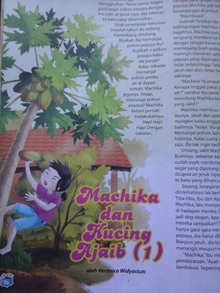 Tips Menulis Cerbung - cerita-cerita veronica