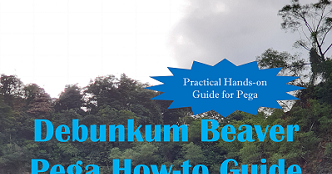 Debunkum Beaver: Pega How-to Guide Series Availability