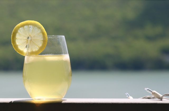 Celebrate Every Day: Celebrate National Lemonade Day