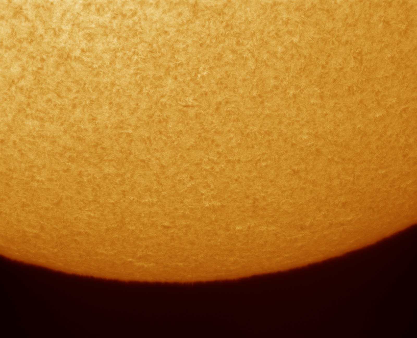 Brierley Hill Solar: July 2019