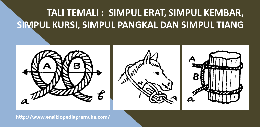 Ensiklopedia Pramuk: Tali temali : Simpul Erat, Simpul Kembar, Simpul ...
