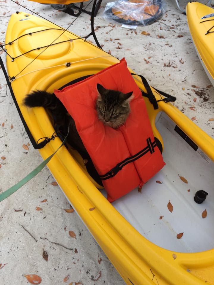 On The Road With The Dennens