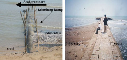 marine science: Transpor Sedimen