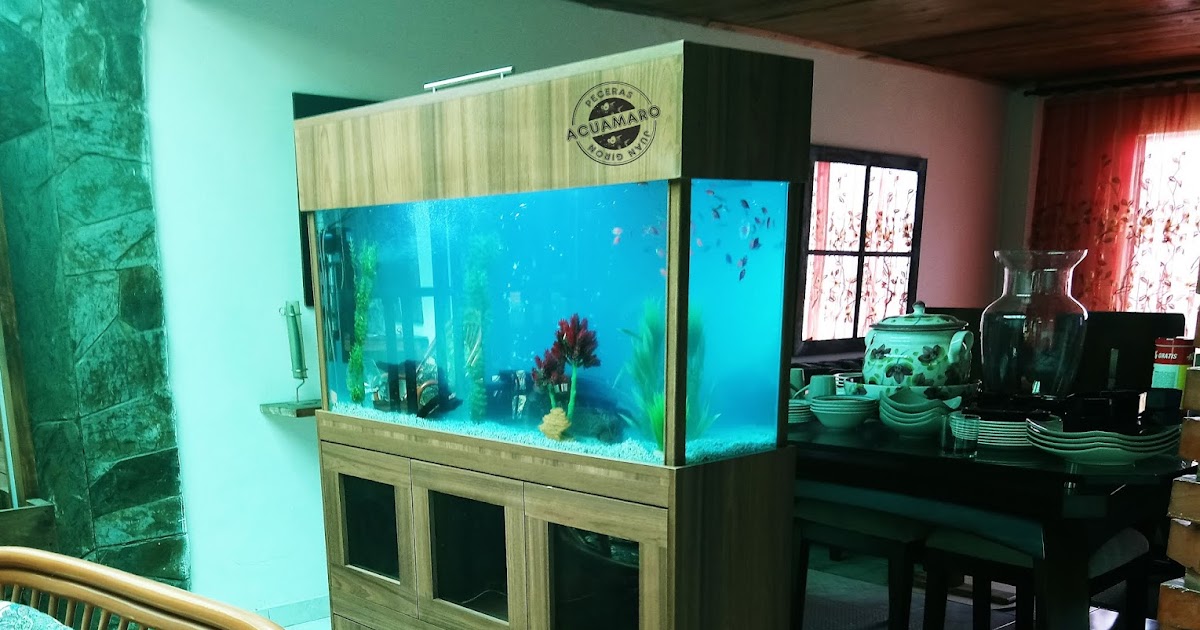 Acuarios, Peceras, Peces, Fuentes de Agua en Cali - Colombia: Peceras ...