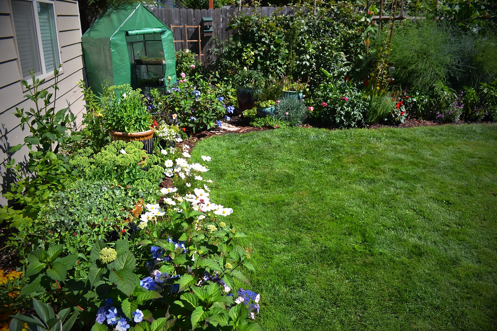 The Outlaw Gardener: Federal Way Symphony Garden Tour Part One: Last ...