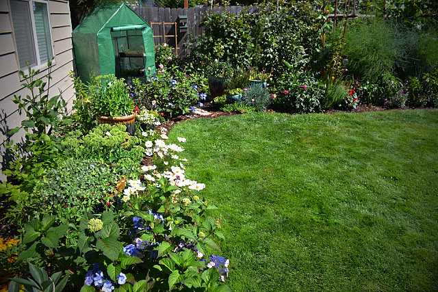 The Outlaw Gardener: Federal Way Symphony Garden Tour Part One: Last ...