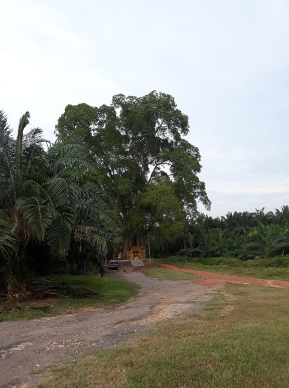 Mayiliragu: Bukit Selarong Karumariamman # Mystical Temples of Malaysia