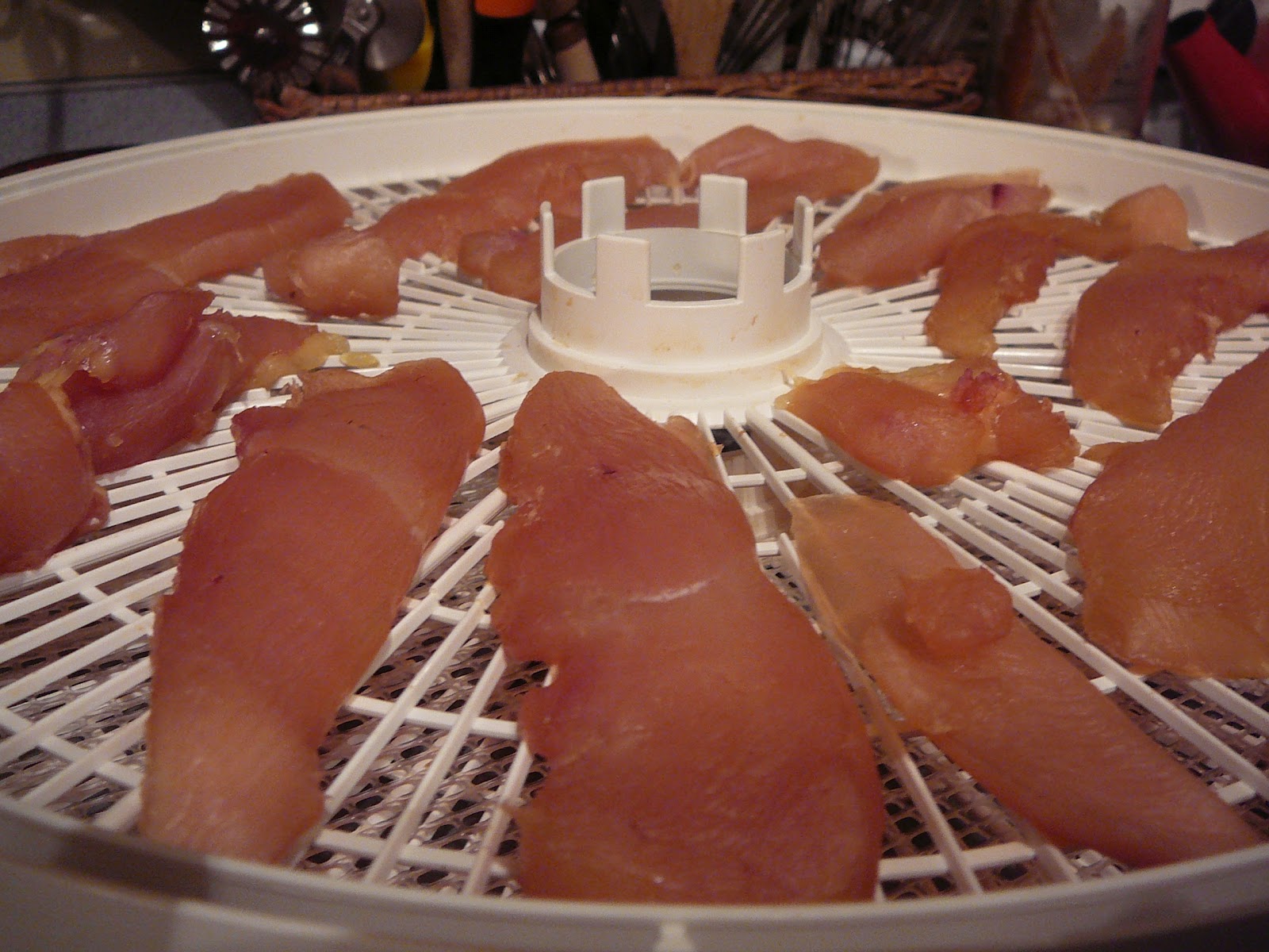 The Hidden Pantry: Spoiling Molly Rotten with Dehydrated Chicken Strips