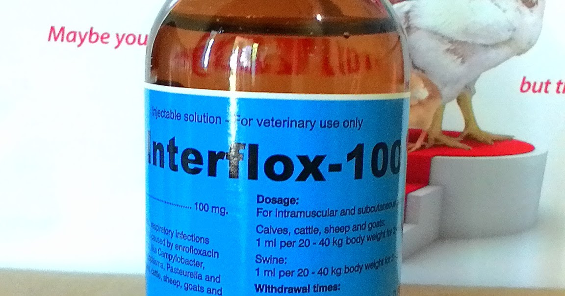 INTERFLOX-100 Mengobati Infeksi Saluran Pernafasan dan Pencernaan ...
