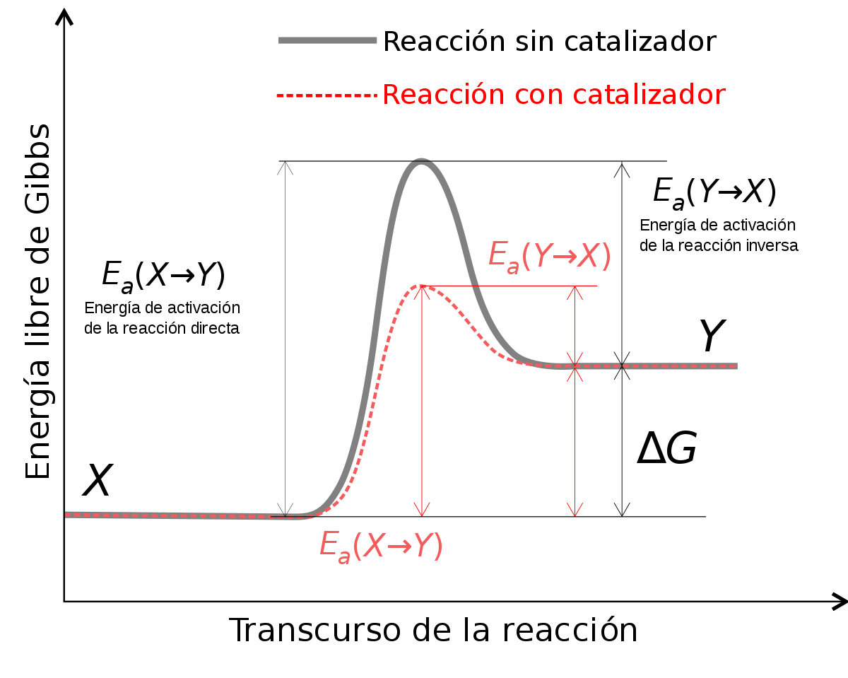 Velocidad de reacción, energía de activación y estados de subdivisión
