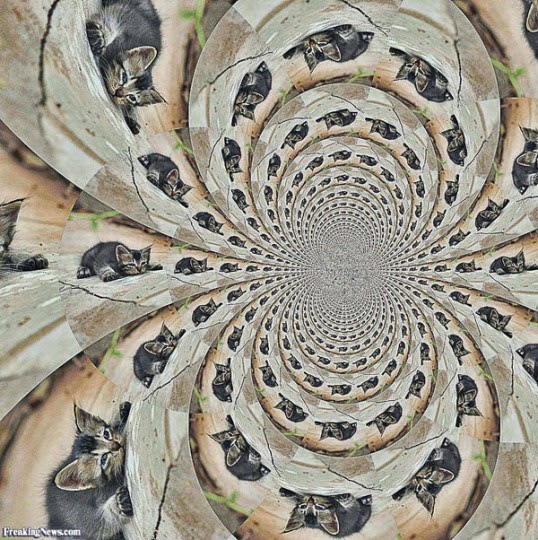 50 Optical Illusions To Trick Your Eyes ~ Unusual Things