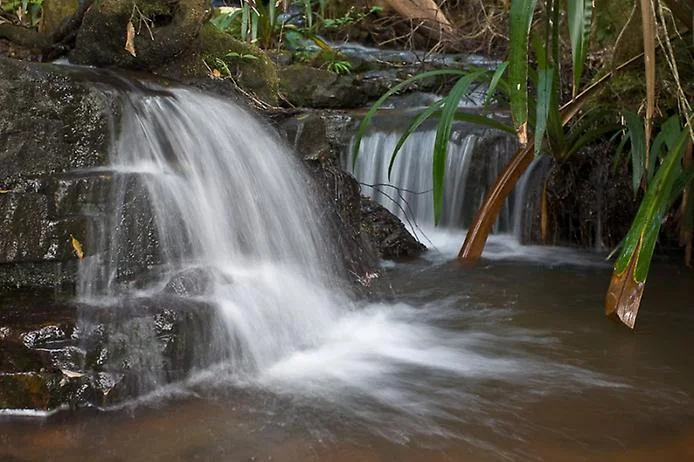 Springbrook National Park, Australia (with Map & Photos)