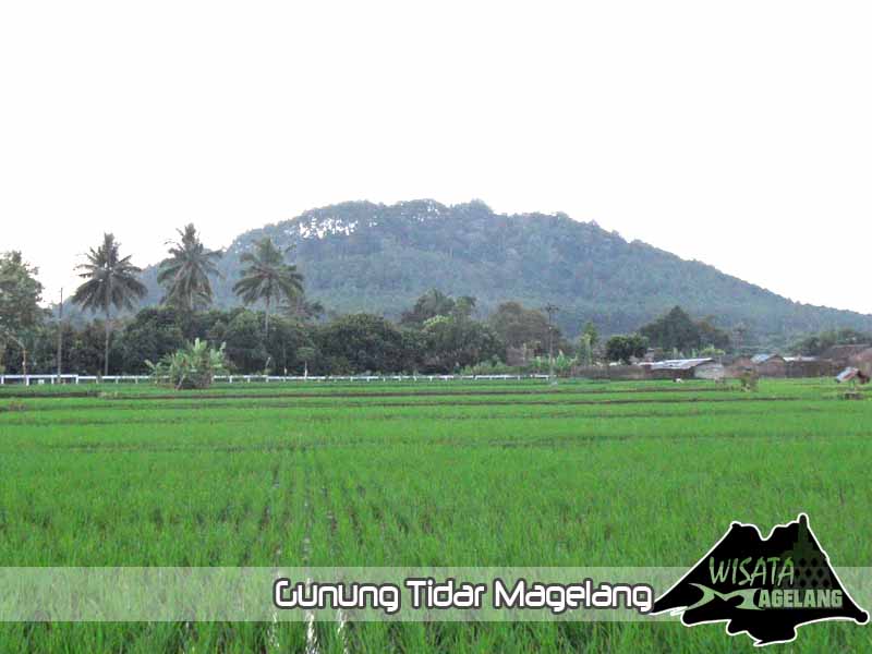Gunung Tidar, paku pulau jawa ~ WISATA