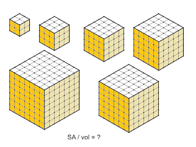 MEDIAN Don Steward mathematics teaching: cube number introduction
