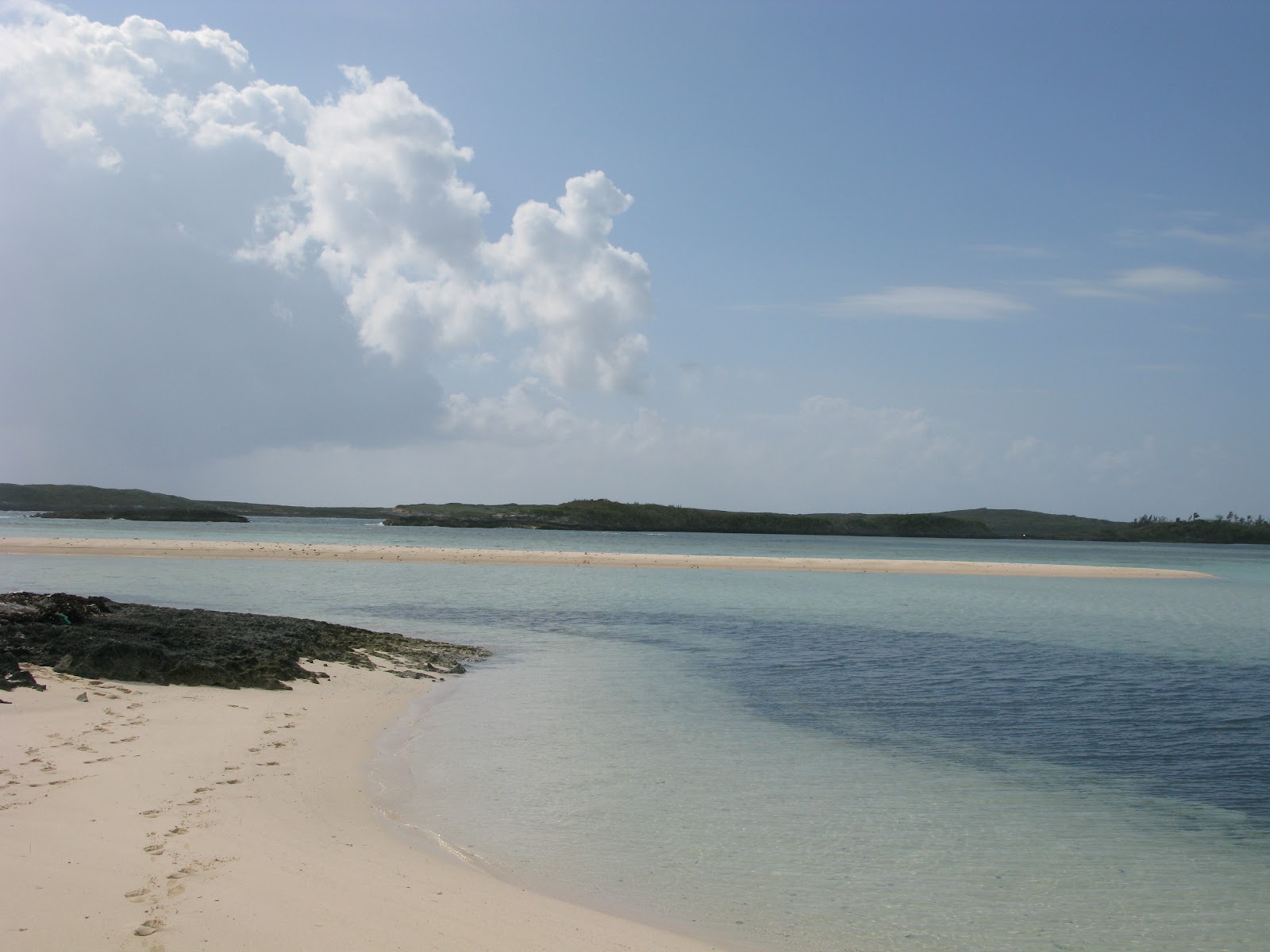 Life with Sweet Pea: Tahiti Beach and more on Elbow Cay
