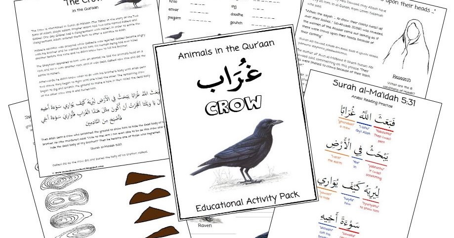 Iman's Homeschool ~ The Curriculum: Crow Activity Pack