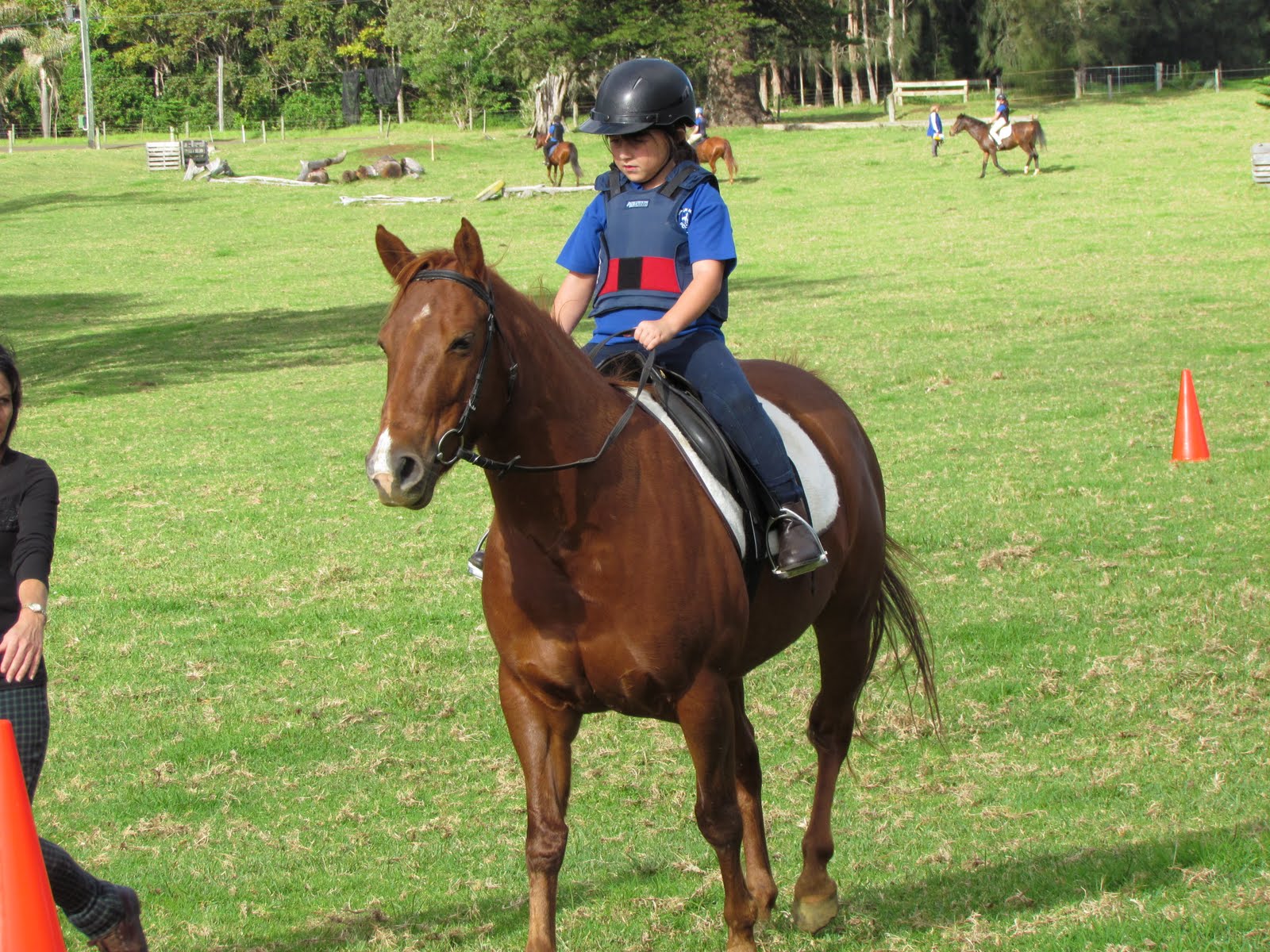 Norfolk Island Pony Club & Equestrian Association: Pony Club Rally Day ...