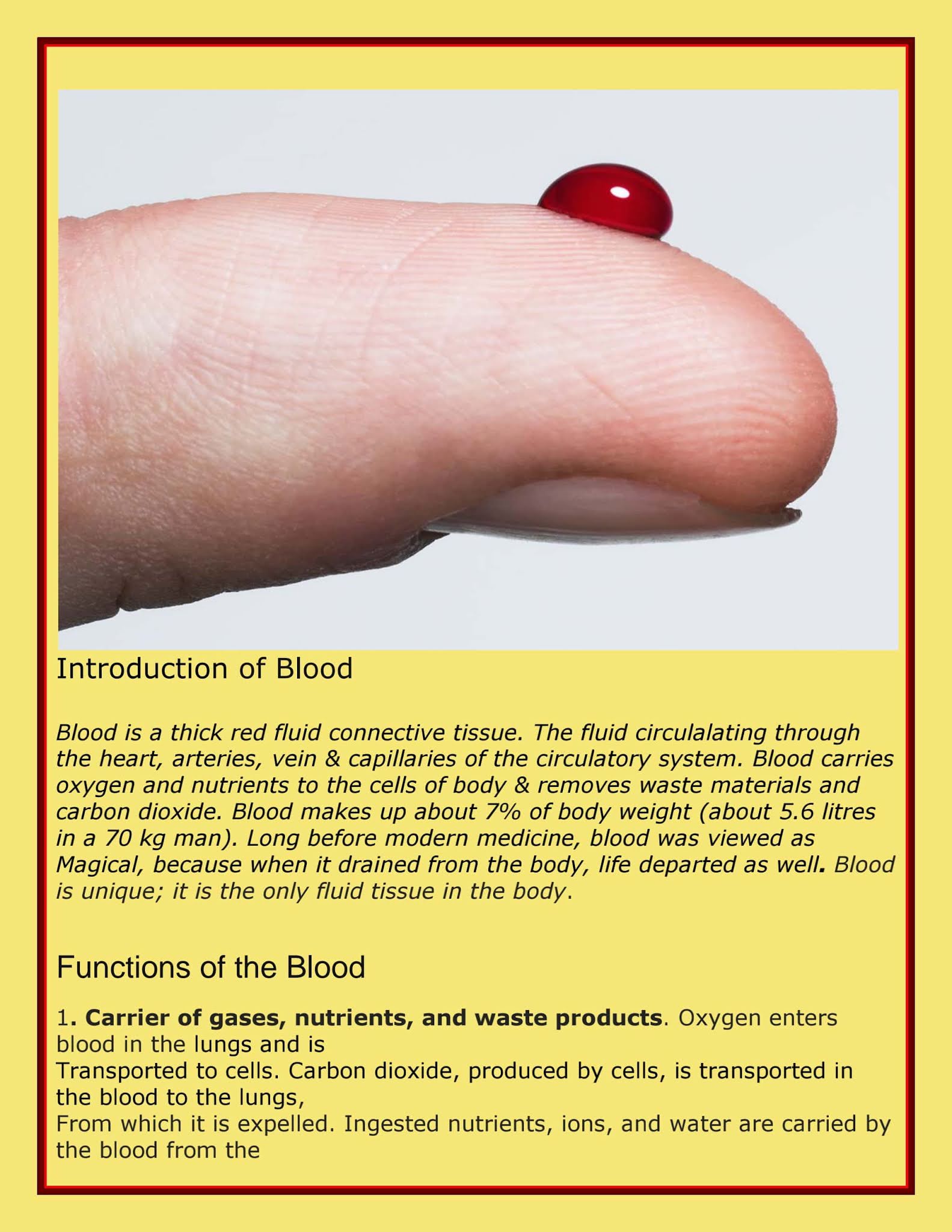 Blood Anatomy and Physiology - Medical Yukti