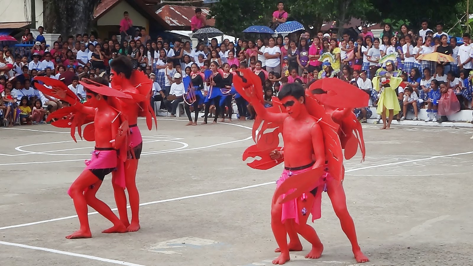 Under A Million Miles Of Sky: The Kinis Festival