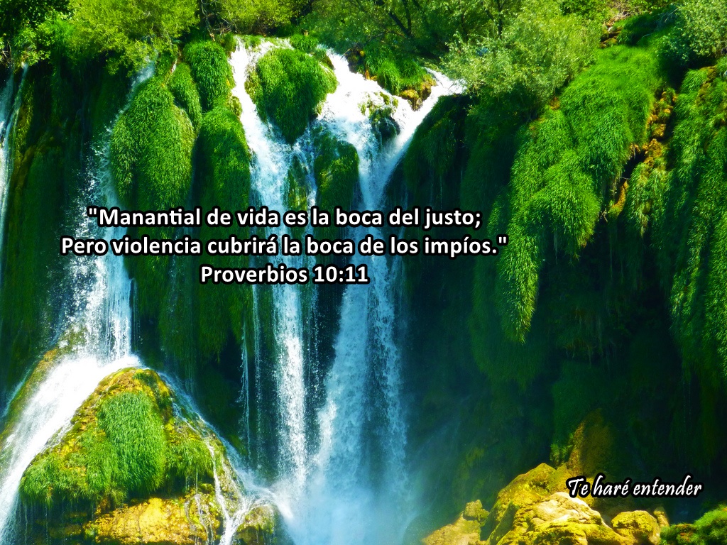 Te Haré Entender...: MANANTIALES DE VIDA