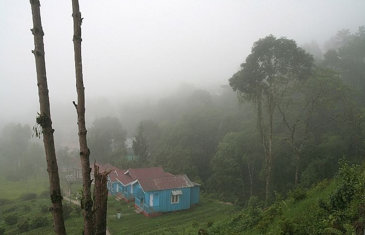 Dooars Ecoviillege: Enjoy Your winter Trek with Hilly Advantages at ...