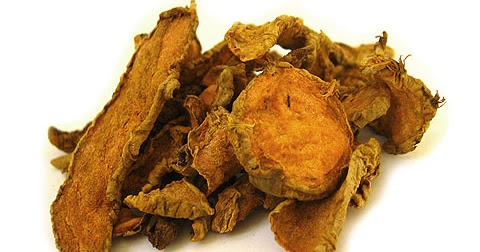 Rhizoma (Rimpang) - Farmakognosi