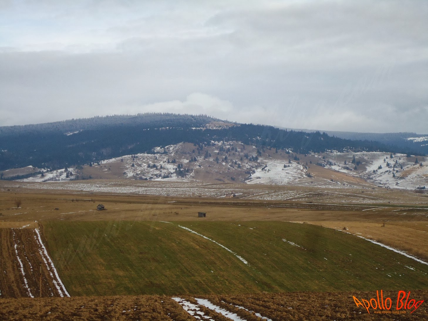 Apollo Blog: Niste dealuri