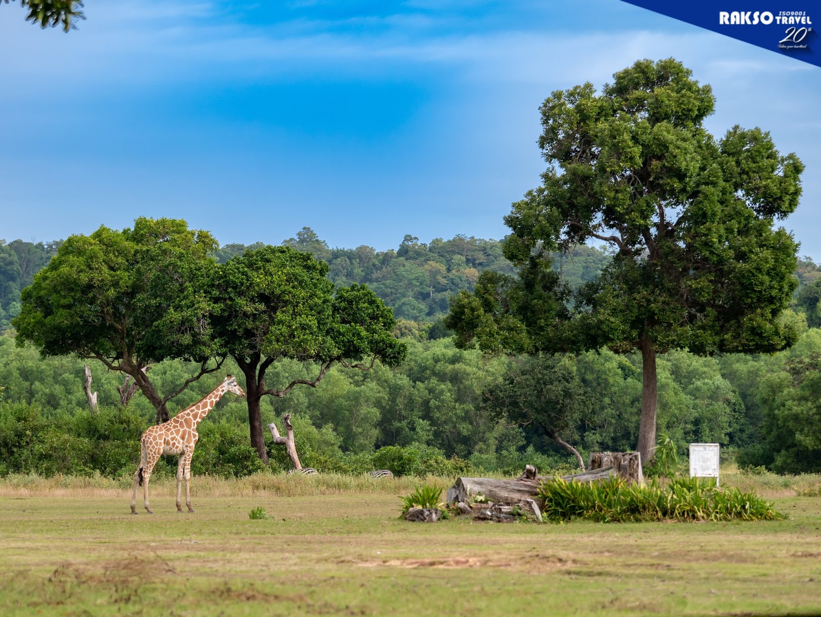 Let’s Get Wild in Coron Palawan