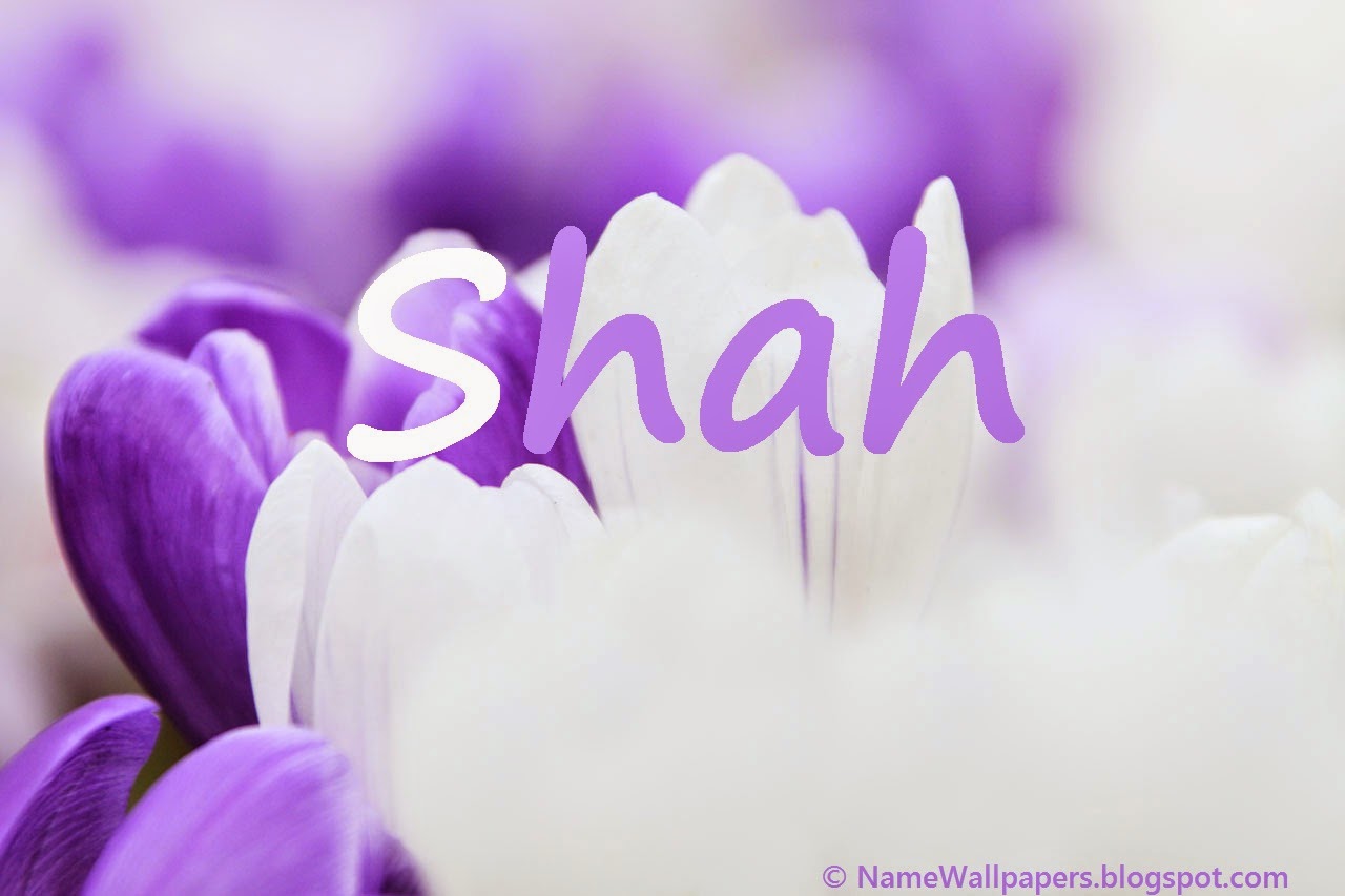 Shah Name Wallpapers Shah ~ Name Wallpaper Urdu Name Meaning Name ...