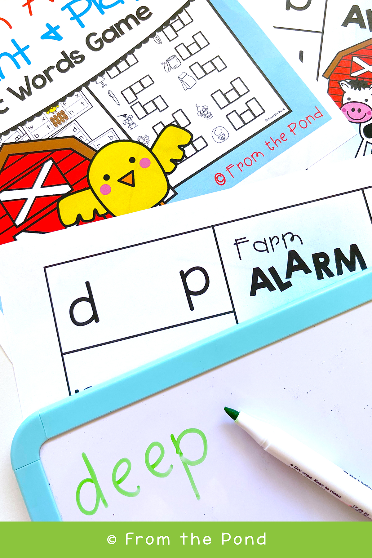 Short Vowels in cvc Words | From the Pond