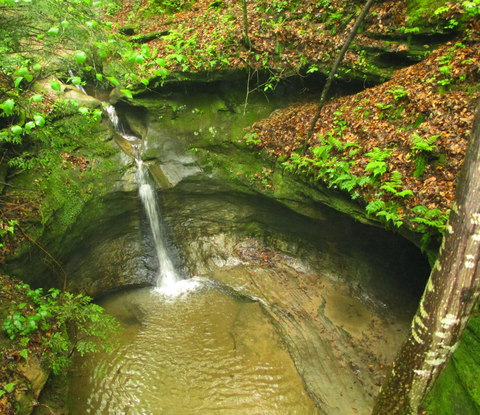 My eyes were here: What I saw - Indiana scenic places