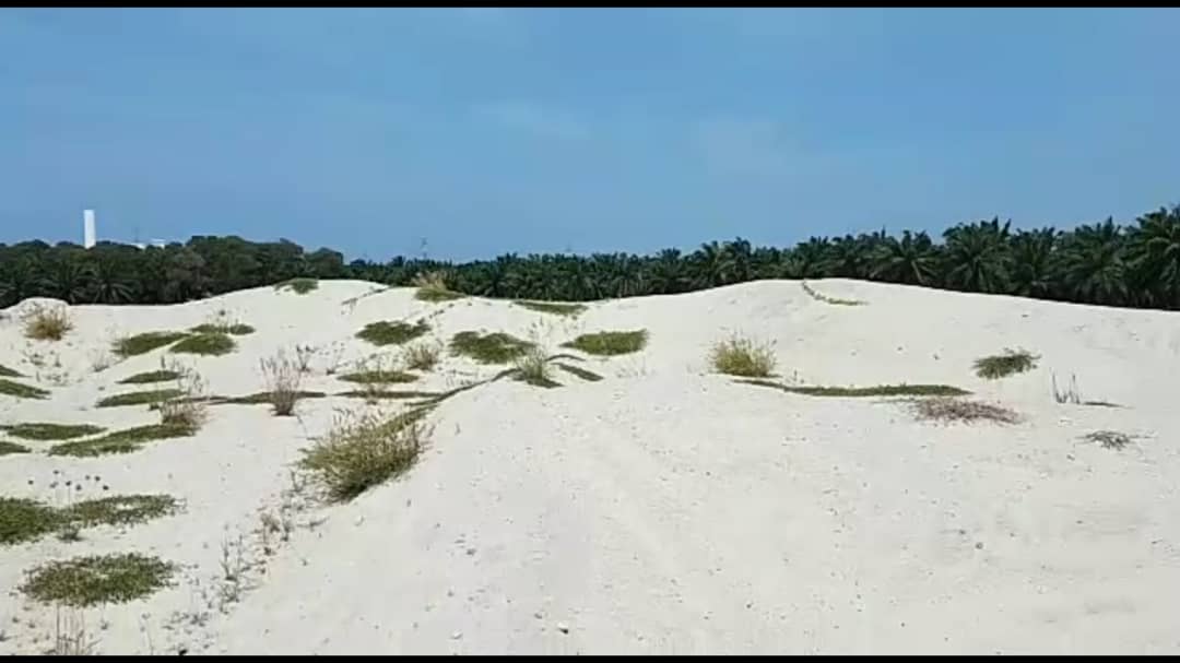Dumping Sand/ Cuci Kasar Bersih/ Pasir Sungai/ Pasir Lombong/ Pasir Laut