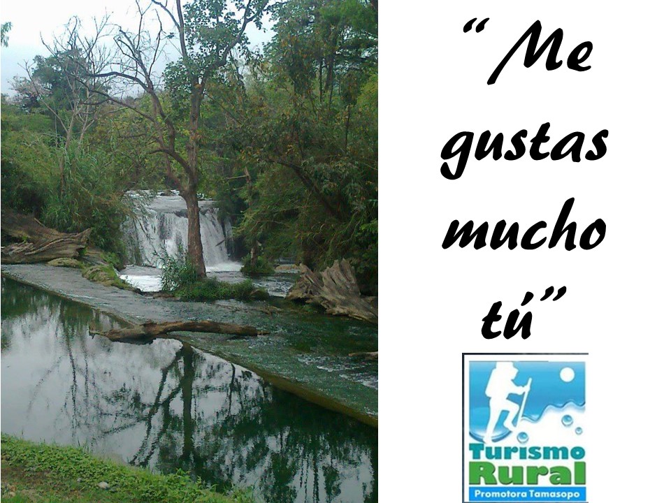 TAMASOPO, SAN LUIS POTOSÍ.: AGUA PUERCA