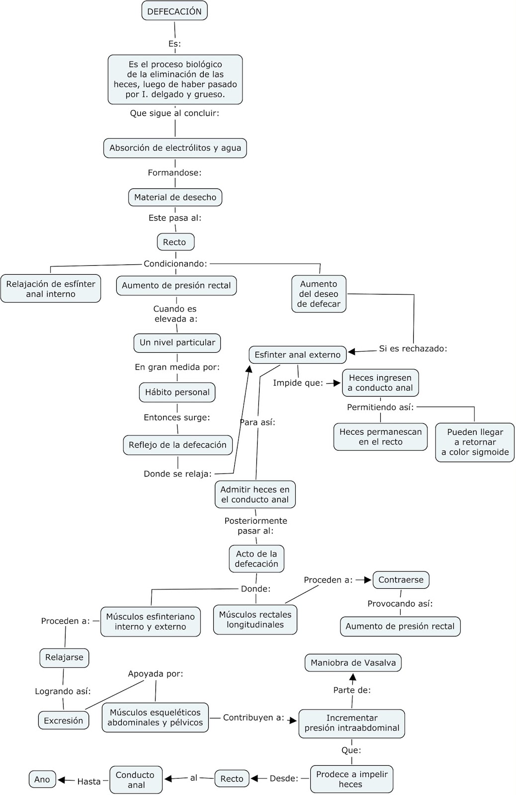 Blog de evidencias de Fisiología Médica de Evelyn Roxana: Defecación (1)