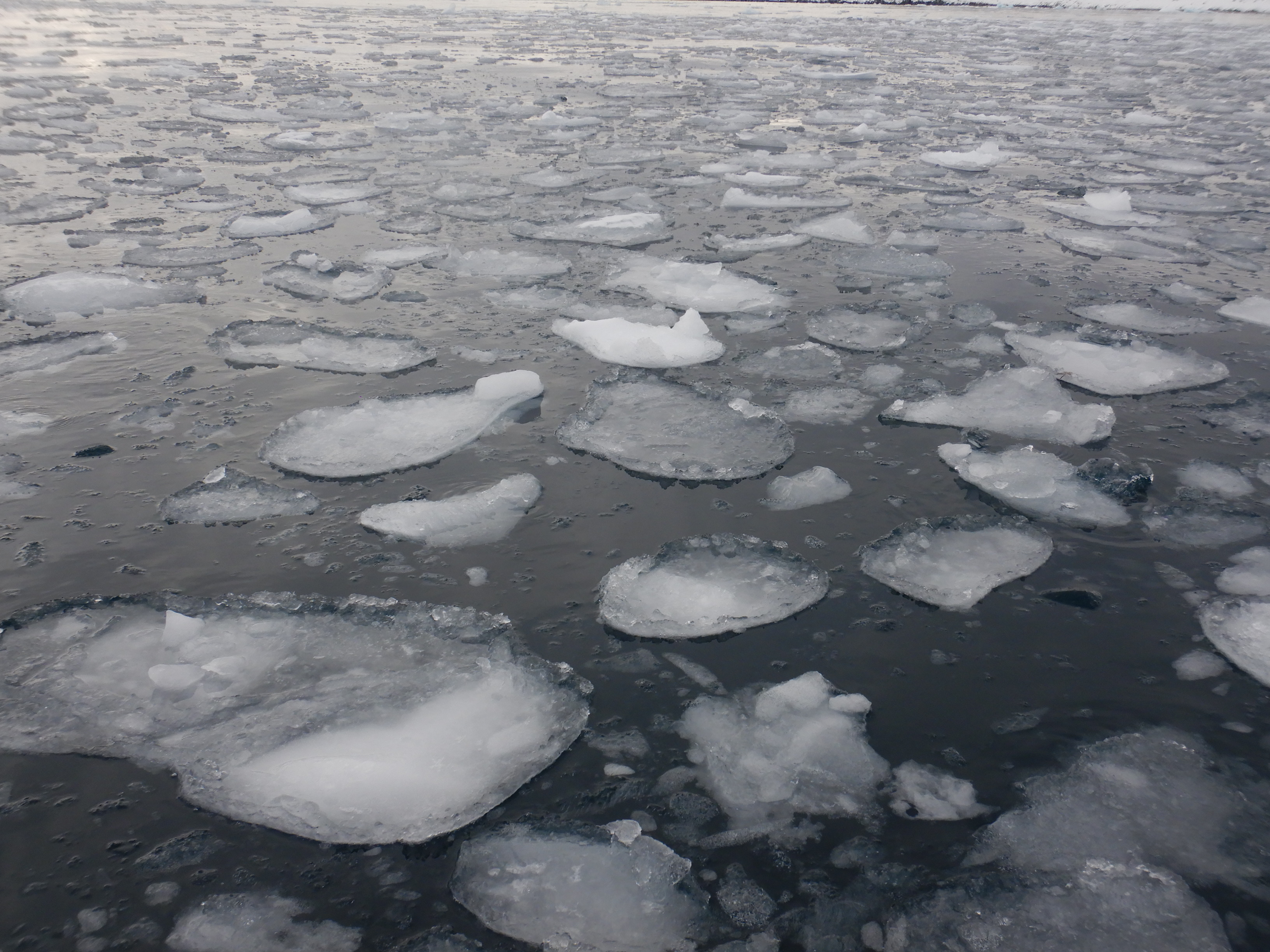 Pancake Ice and Winter