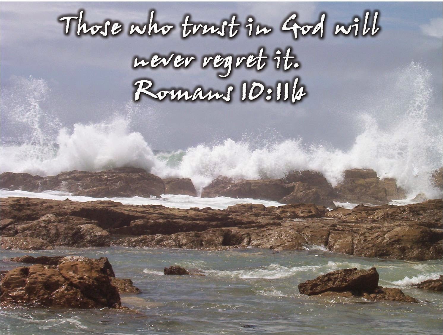 mustard seeds: Proper 14 A (August 13): Faith is a Risk